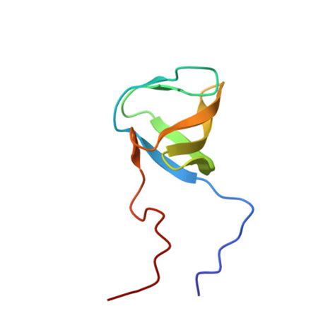 RCSB PDB EPD Solution Structure Of SH Domain In Rho GTPase