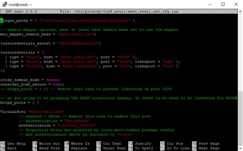 Installing Jitsi And Jibri On Same Machine Bots