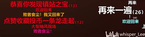 一个插件管理b站弹幕：pakku 哔哩哔哩