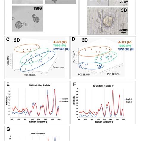 Discrimination In Glioma Cell Lines A Images Representing The