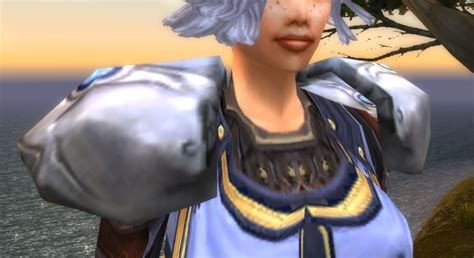 Field Plate Pauldrons Item Wotlk Classic