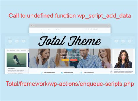 Total Theme Call To Undefined Function Wp Script Add Data Fix