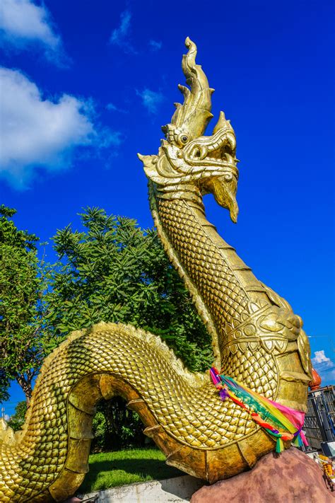 Free Images Big Cobra King Of Nagas View Biggest Golden