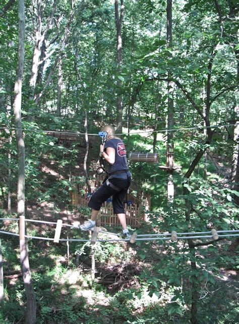 Ziplining And Treetop Exploration Learn Live And Explore