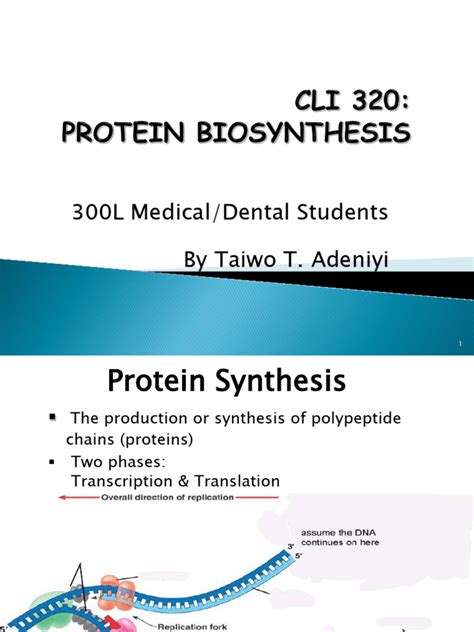 Protein Biosynthesis Pdf Pdf Ribosome Translation Biology