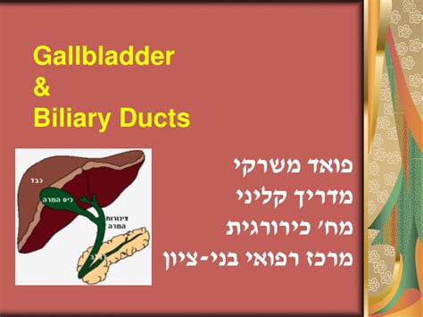Ppt Gallbladder And Biliary Ducts Powerpoint Presentation Free