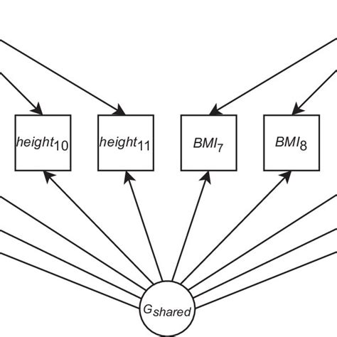 A Genetic Factor Model For Height And Body Mass Index Bmi Observed At