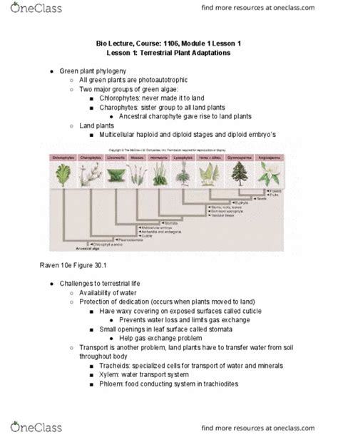 biol 1106 lecture 1 plant diversity oneclass