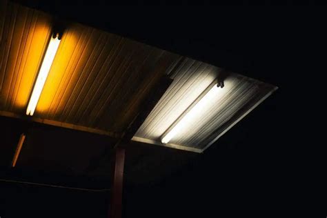 T8 Vs T5 Grow Lights Which Fluorescent Tubes Are Right For You