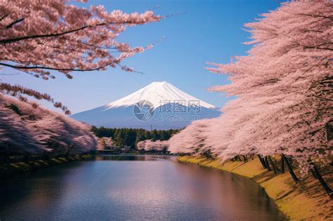 春天美丽的富士山景观高清图片下载 正版图片600393613 摄图网