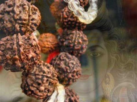How To Choose The Best Rudraksha Bead How To Identify Fake Rudraksha