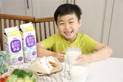 매일 소화가 잘되는 우유 속편한 락토프리 우유 저지방 And 오리지널 네이버 블로그
