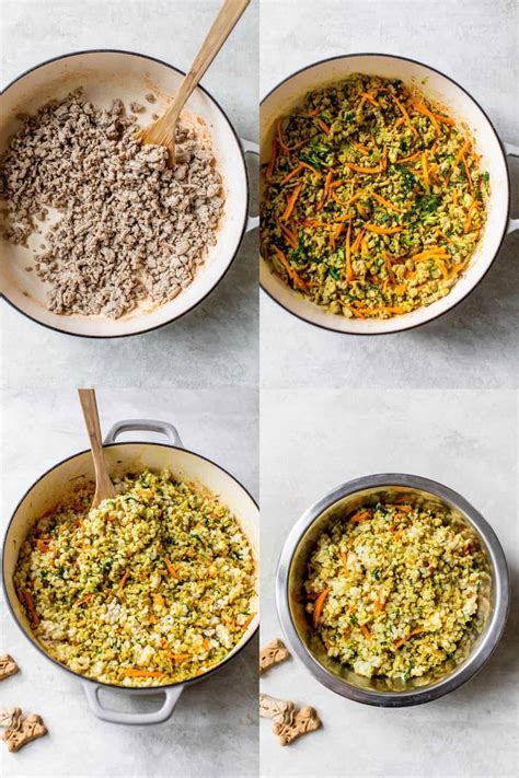 Best Raw Dog Food Recipe