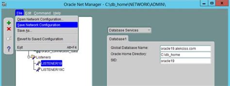 Create A Listener In Oracle Database 19c Oracle Database Database Oracle
