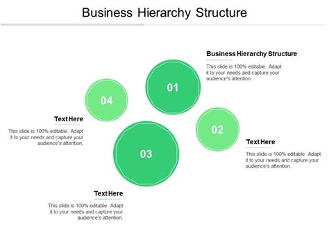 Business Hierarchy Structure Ppt Powerpoint Presentation Styles Elements Cpb Presentation