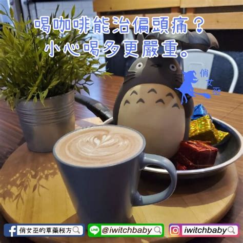 俏女巫的古中藥秘方首頁 俏女巫的古中藥秘方