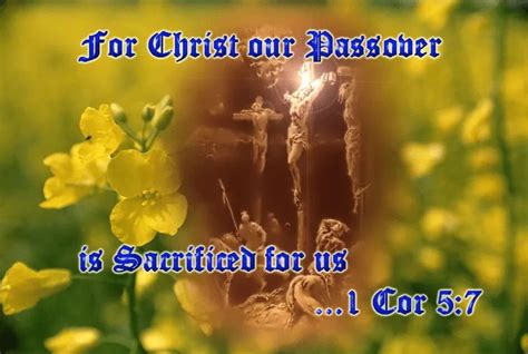 Spring Feast Passover Series Classic Warn Radio Warn Radio Christian