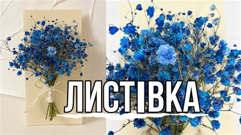 Листівка Вітальна листівка як зробити листівку своїми руками за 5 хвилин Листівка з паперу