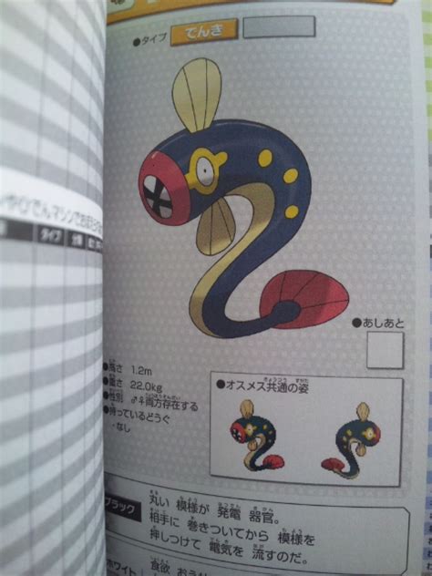More Sugi Art 2 Upd Pokéjungle