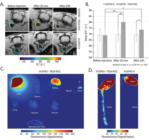 In Vivo Injection Of Vuspio Teg4 R32 Compared To Vuspio 0 A Segmented