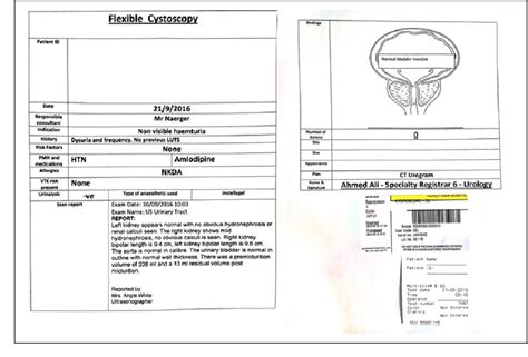Figure 3 From Improving The Documentation Of Flexible Cystoscopy Notes Case For Introduction Of