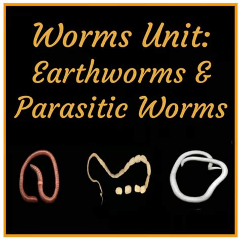 Worms Unit Earthworms And Parasitic Worms Ppt Lessons Worksheets Labs And Review Classful