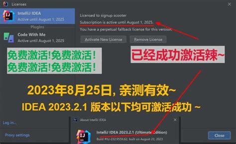 Intellij Idea 202333最新激活、破解教程、亲测有效、持续更新 徐师兄编程源码站