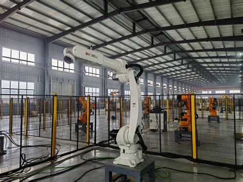 Axis Level Safety Anti Collision Intelligent Palletizing Robot