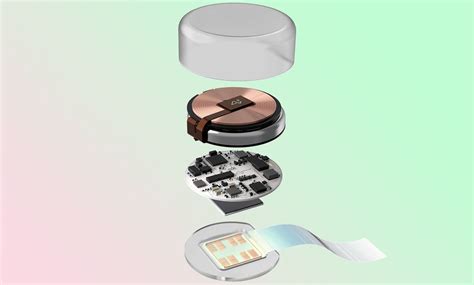 Exclusive Qanda Neuralinks Quest To Beat The Speed Of Type Ieee Spectrum