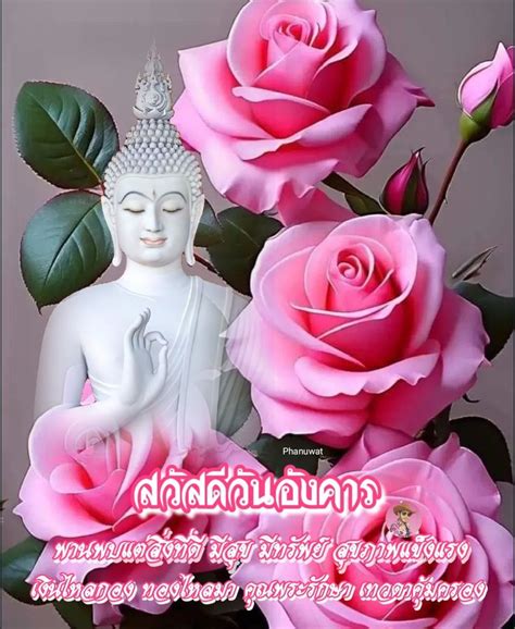 ปักพินโดย 🌾joon🦩14🌾 ใน สวัสดีวันอังคารขอบคุณเจ้าของภาพค่ะ วันอังคาร