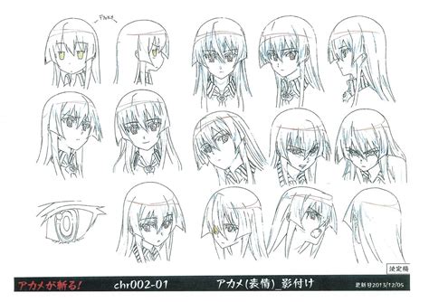Yahooオークション アカメが斬る 設定資料