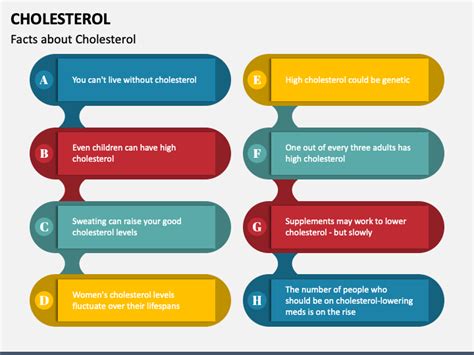 Cholesterol PowerPoint And Google Slides Template PPT Slides