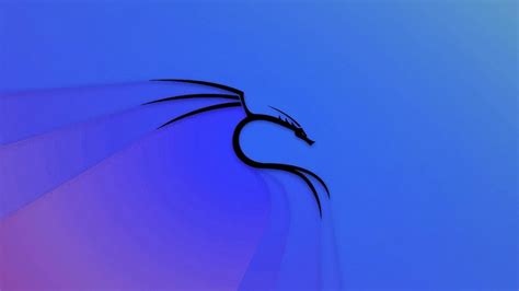 ethical hacking metasploit nmap kali python 3 y más coupon comidoc