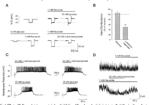 Figure 1 From Direct Inhibition Of The Pancreatic β Cell Atp Regulated