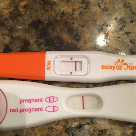 Easy At Home Pregnancy Test Line Progression Pregnanc