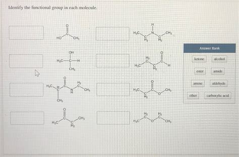Solved Identify The Functional Group In Each Molecule CH Chegg Com