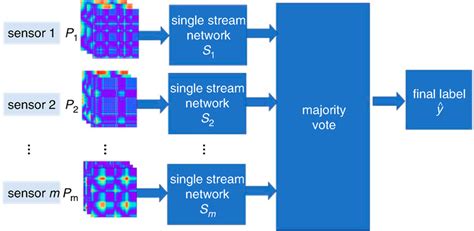 Multi‐stream Network For Final Label Classification Download Scientific Diagram