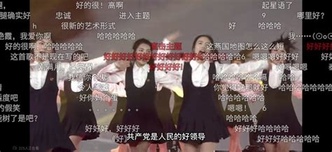 难得一见的b站反贼 Rrealchinairl