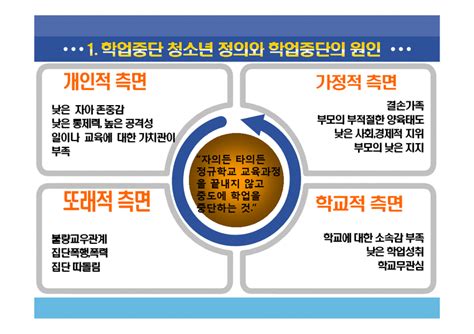 학업중단 청소년을 위한 사회복지 프로그램 기획 사회과학