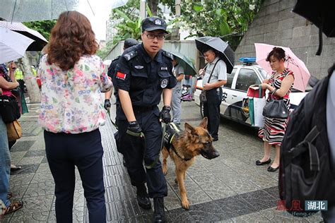 雨中的等待与期盼68张图记录湖北高考考场外的家长 频道 凤凰网