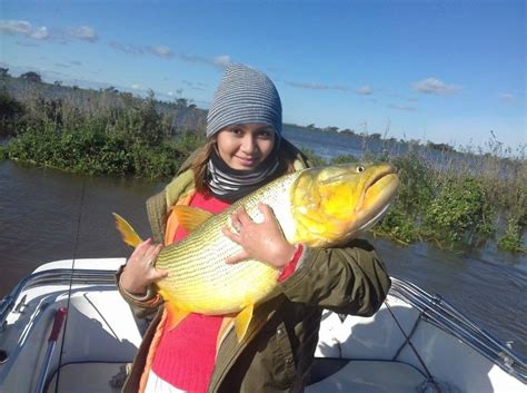 Pesca Esportiva Do Dourado No Pantanal Dicas Para Todos Amazonas Fishing
