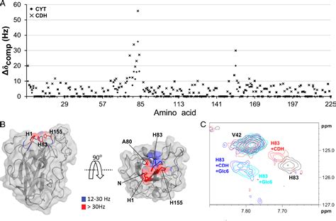 Figure 2 From Interactions Of A Fungal Lytic Polysaccharide Monooxygenase With β Glucan
