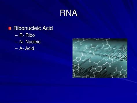 Ppt Rna Powerpoint Presentation Free Download Id6312471