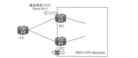 mpls virtual private network pe ce之间的路由协议（ospf） ospf dn比特位 csdn博客