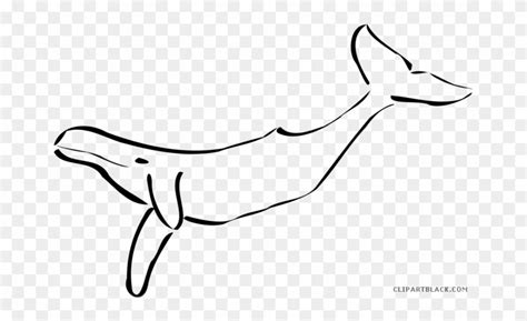 Free Whale Outline Cliparts Download Free Whale Outline Cliparts Png