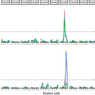 Simple Interval Mapping Using Markers Identified From The Bulk Download Scientific Diagram