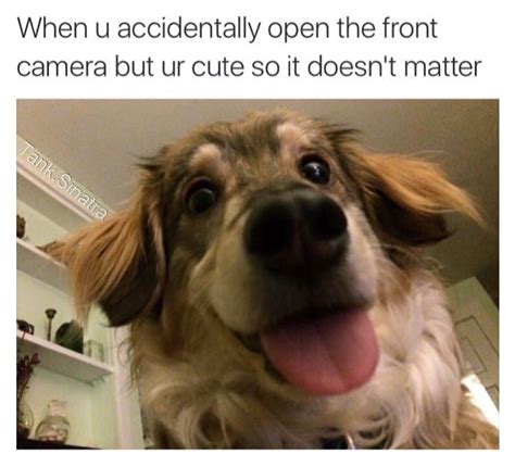 Too cute to care. : r/wholesomememes