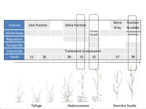 Figure Schéma illustrant les possibilités de regroupement de Download Scientific Diagram