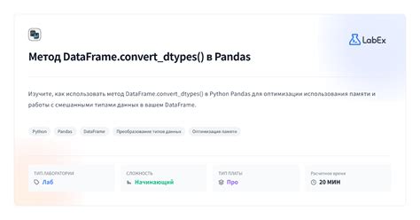 Python Pandas Преобразование типов данных Dataframe Labex