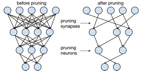 Neural Network Pruning For Scalable And Efficient Ai Model By Curiositydeck Medium